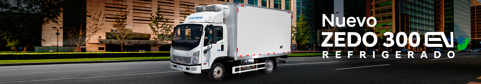 Hyundai Camiones & Buses